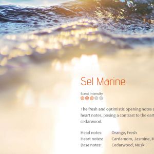 Sel Marine - osveživač - miris br. 854, flašica 200ml pak .1/24 - MOPEX BID